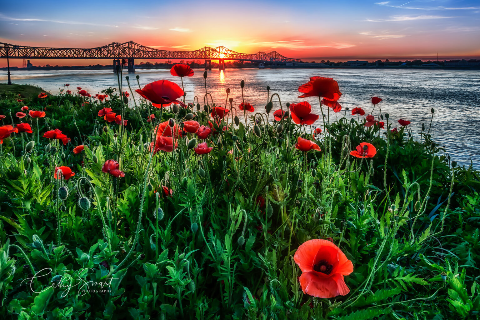 Louisiana Photographic Society – Baton Rouge, LA